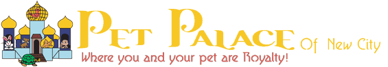 Welcome to Pet Palace of New City